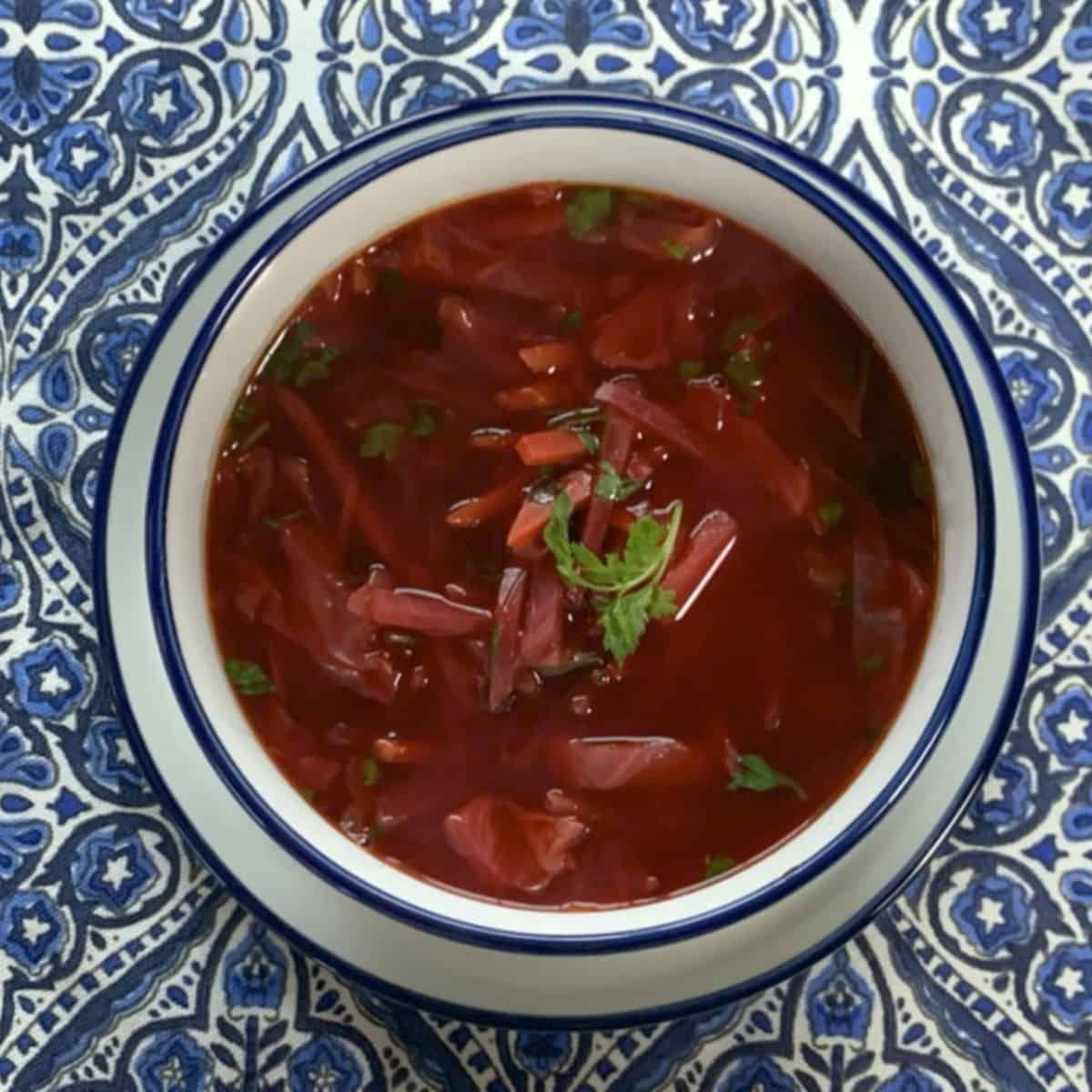 Colorful and Flavorful Borsch - Cafe Osharak