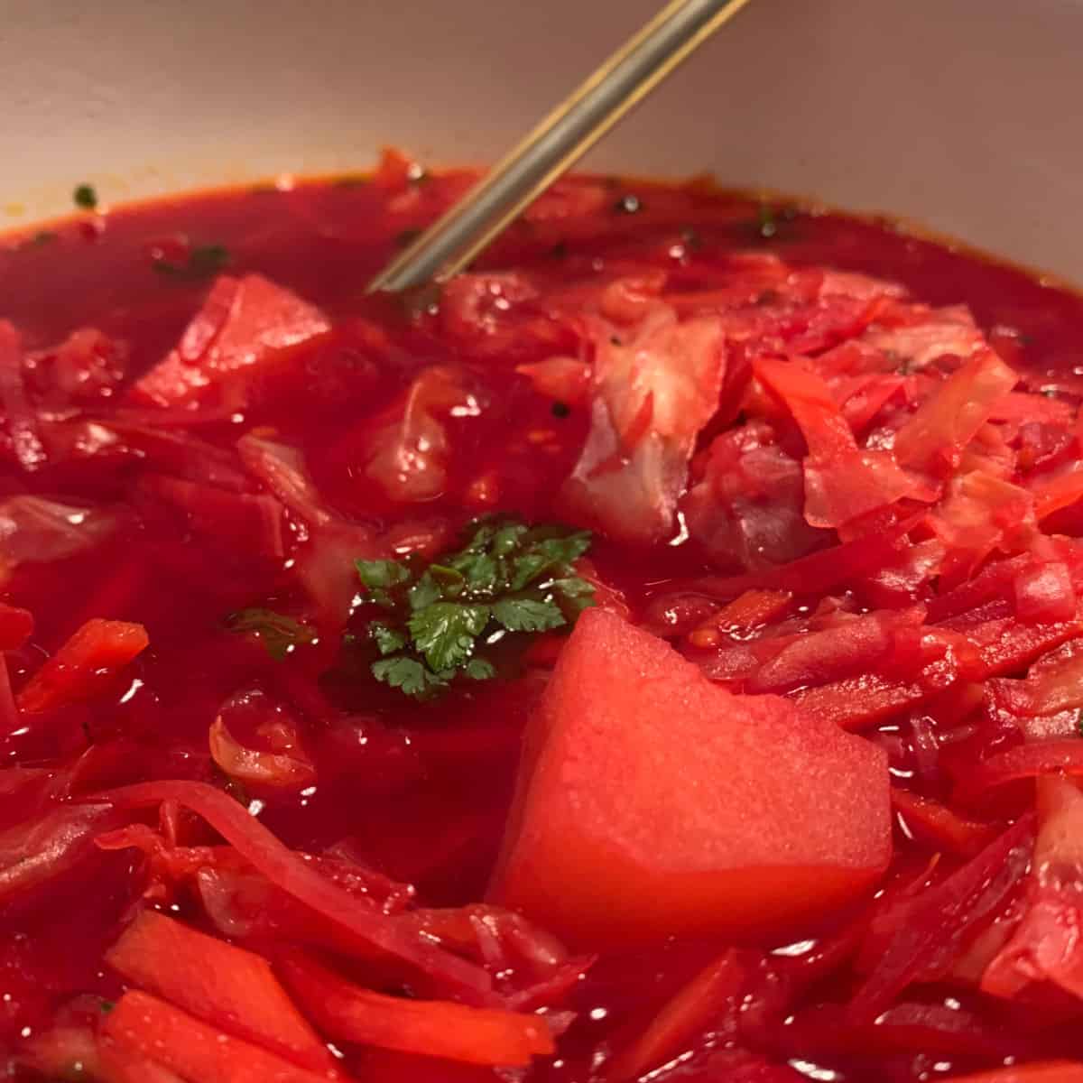 Colorful and Flavorful Borsch - Cafe Osharak