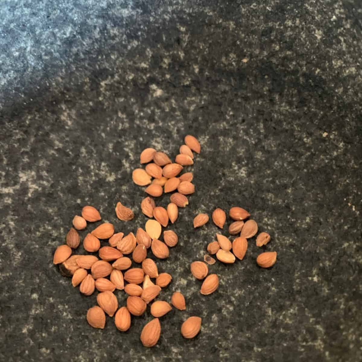 Zatiki Chorek - Armenian Easter Bread - Cafe Osharak