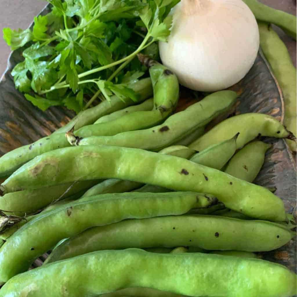 Fresh Green Fava Beans Stew - Cafe Osharak