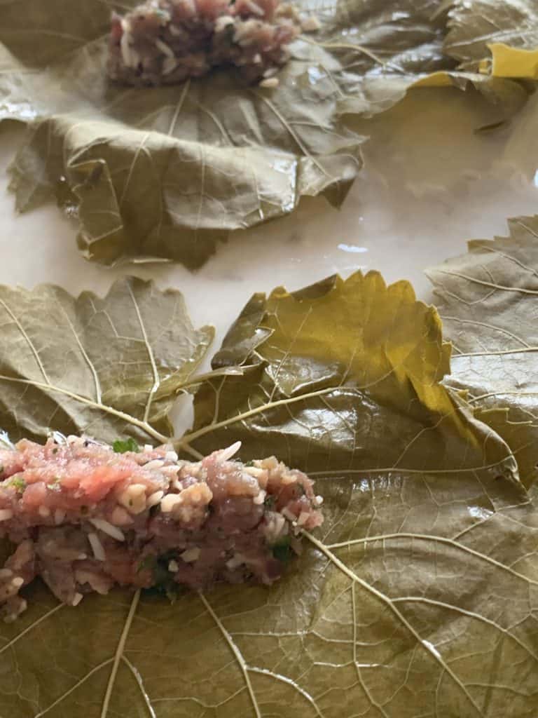 Genuine Armenian Meat Tolma – Msov Tpov Tolma - Cafe Osharak