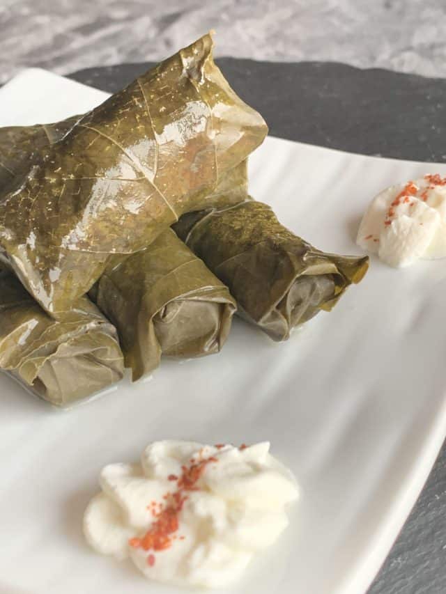 Genuine Armenian Tolma Meat - Cafe Osharak
